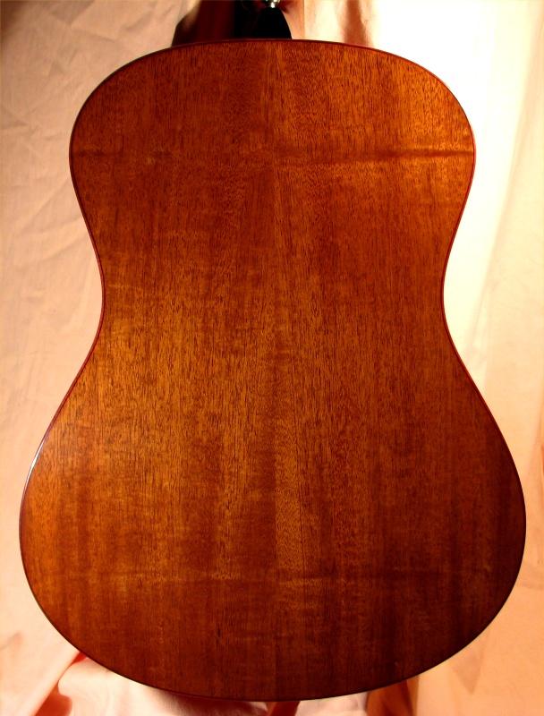 Laughlin Large Guitar